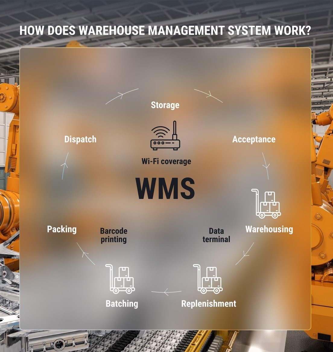 Warehouse Management: Why Are Old Strategies Going to Nowhere Today?